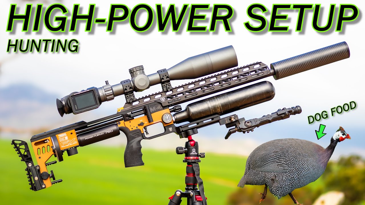 FX Impact M4 | High Power Setup | 800mm barrel | Hits like DDP | 34gr ...